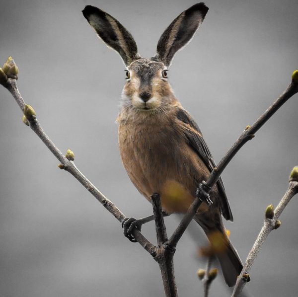 Understanding PSI vs PSB: Key Tax Implications for Australian ...